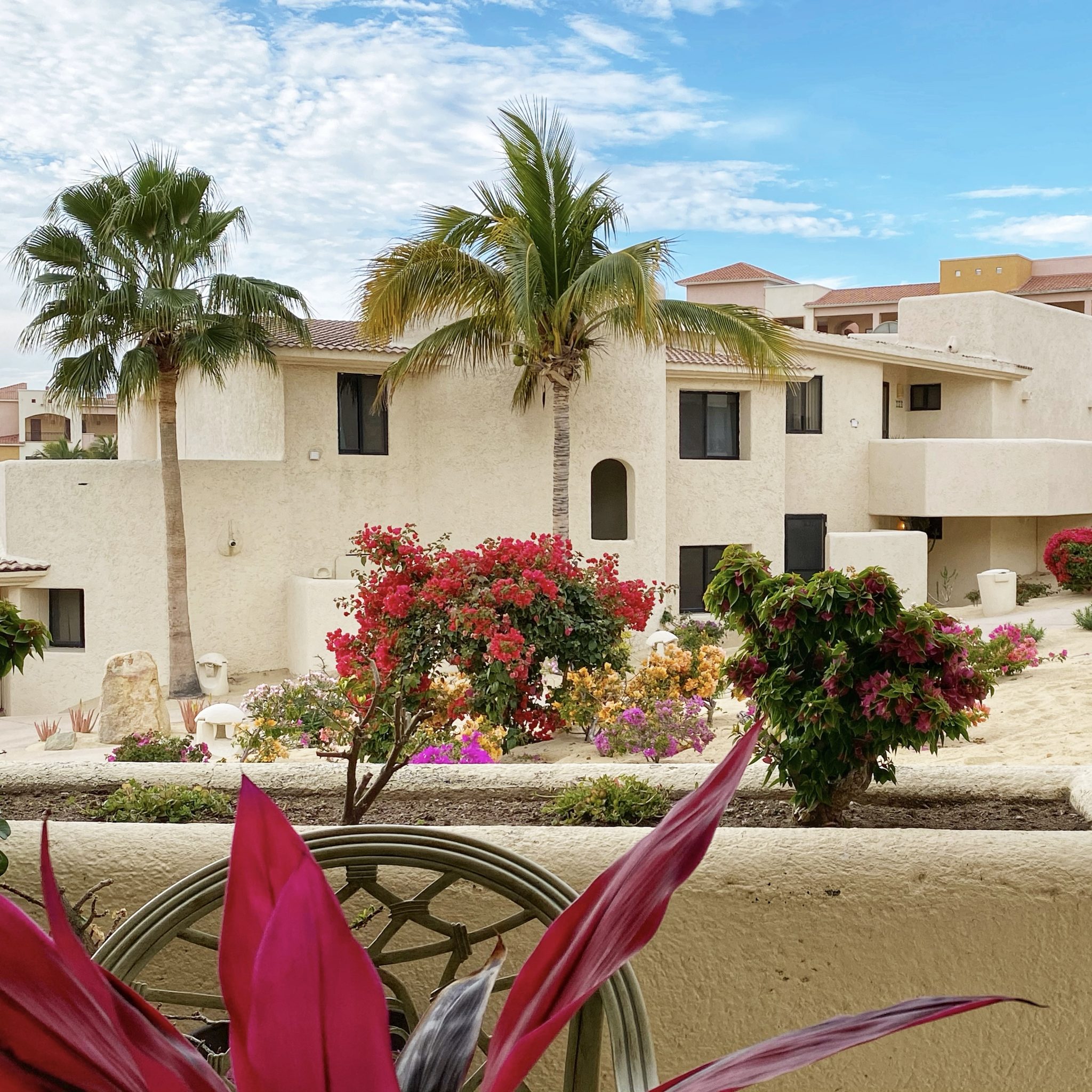 Terrasol Cabo San Lucas | Terrasol Resort Condos for Rent - Terrasol ...