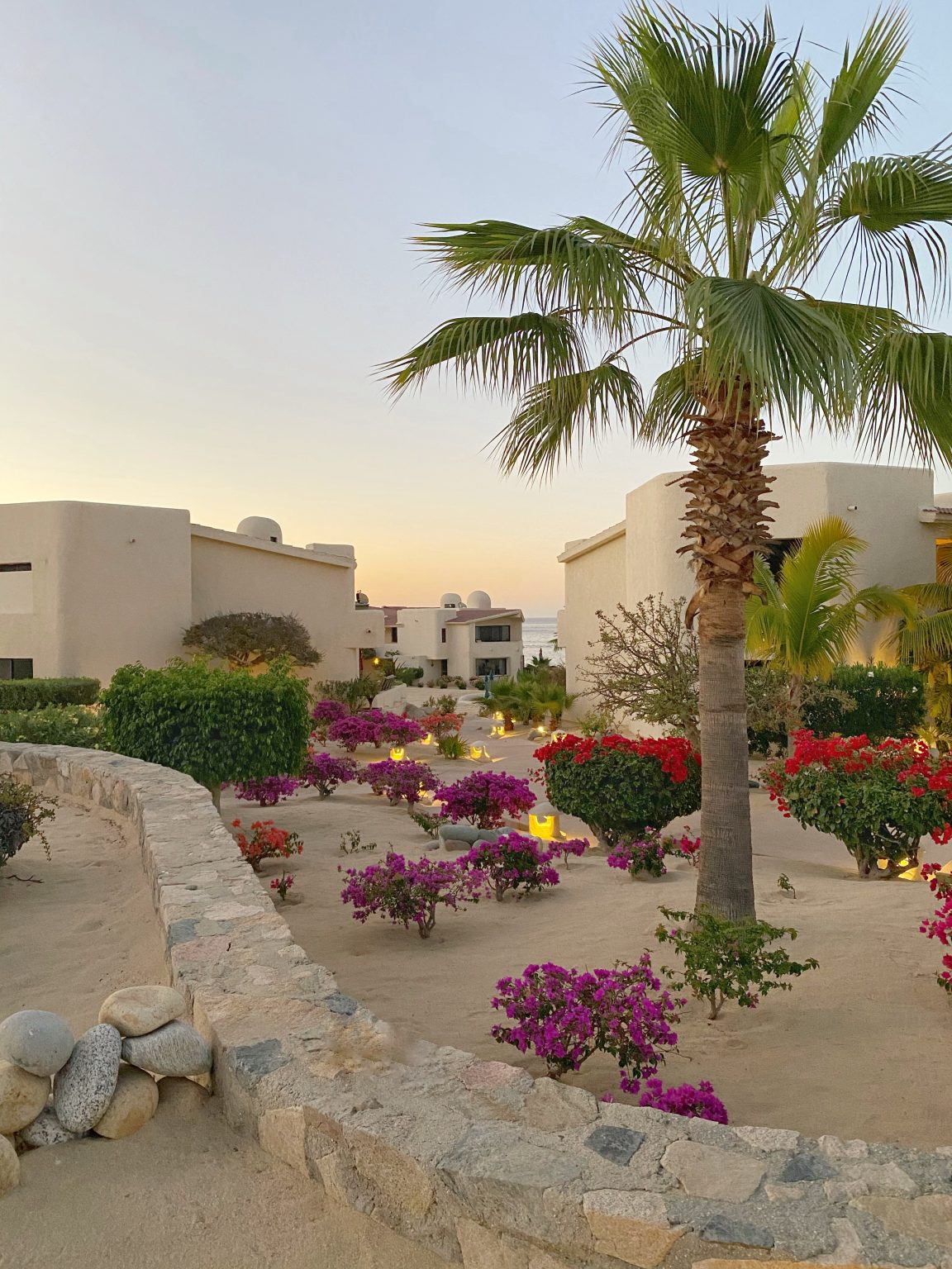 Terrasol Cabo San Lucas | Terrasol Resort Condos for Rent - Terrasol ...